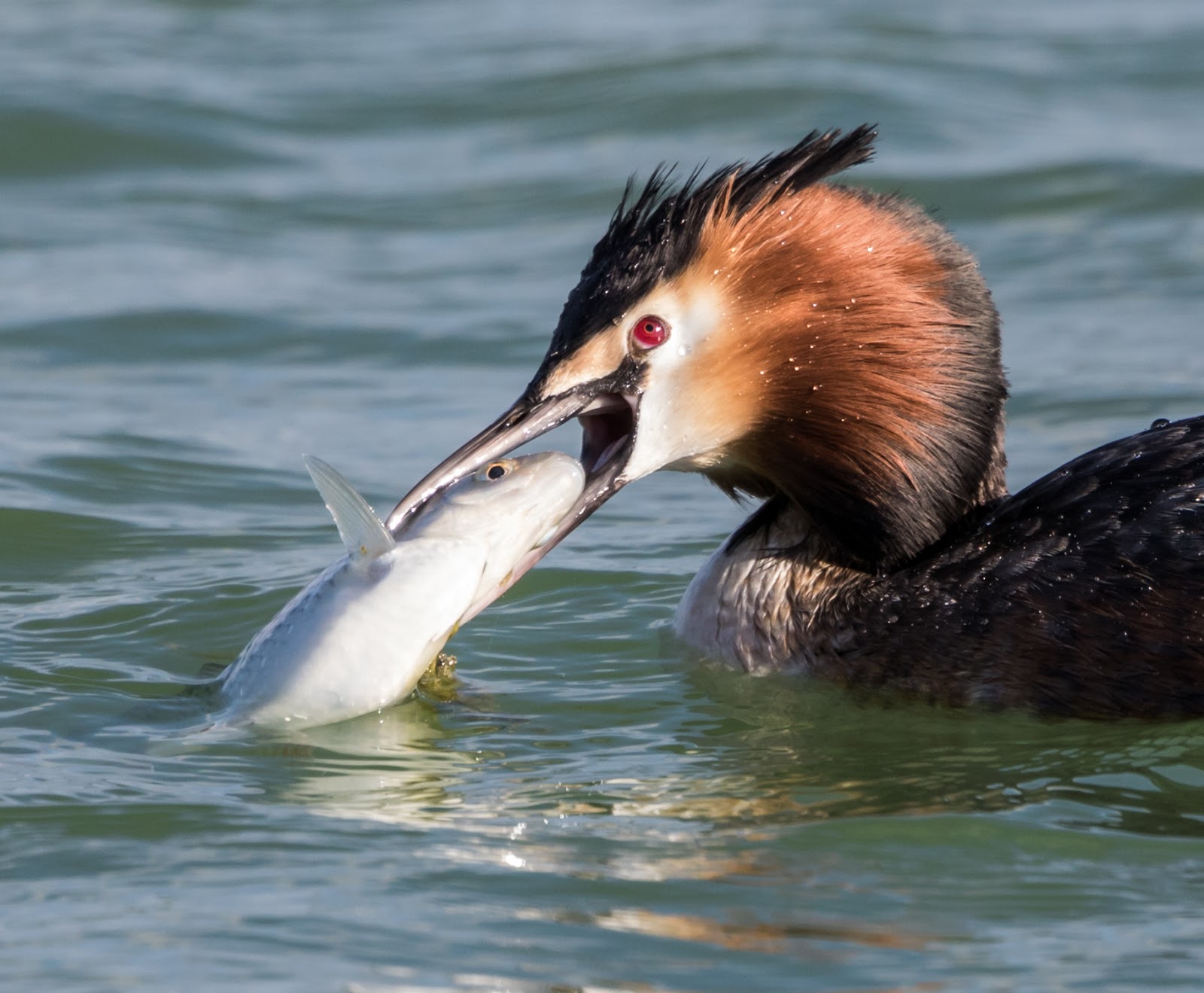 Dave McCulley Photography