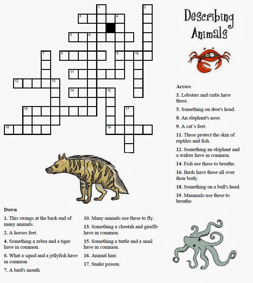 Our English class (4th, 5th, 6th grade): Animal body parts