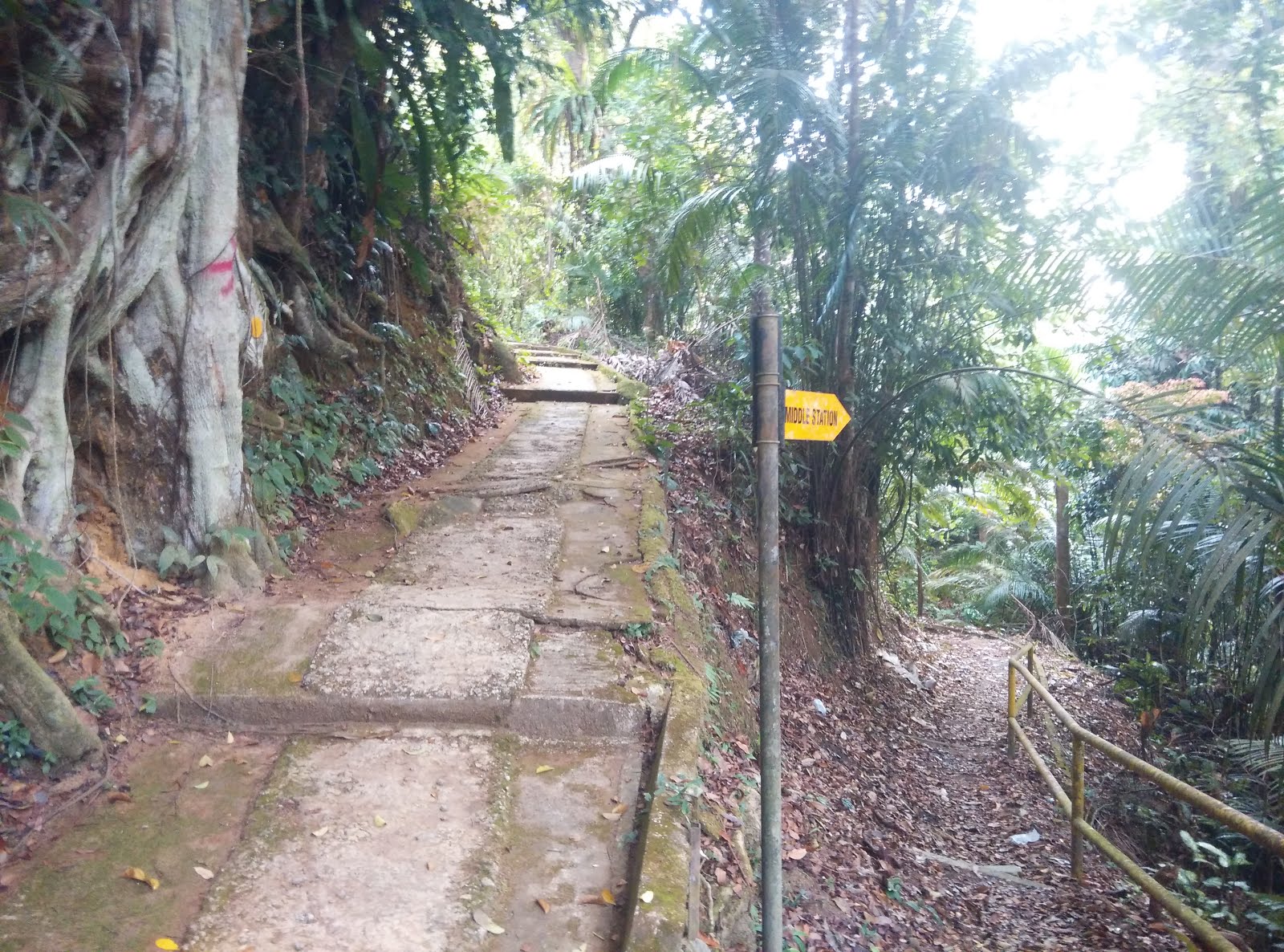 Trail Running In Penang: Penang Hill Via Heritage Trail