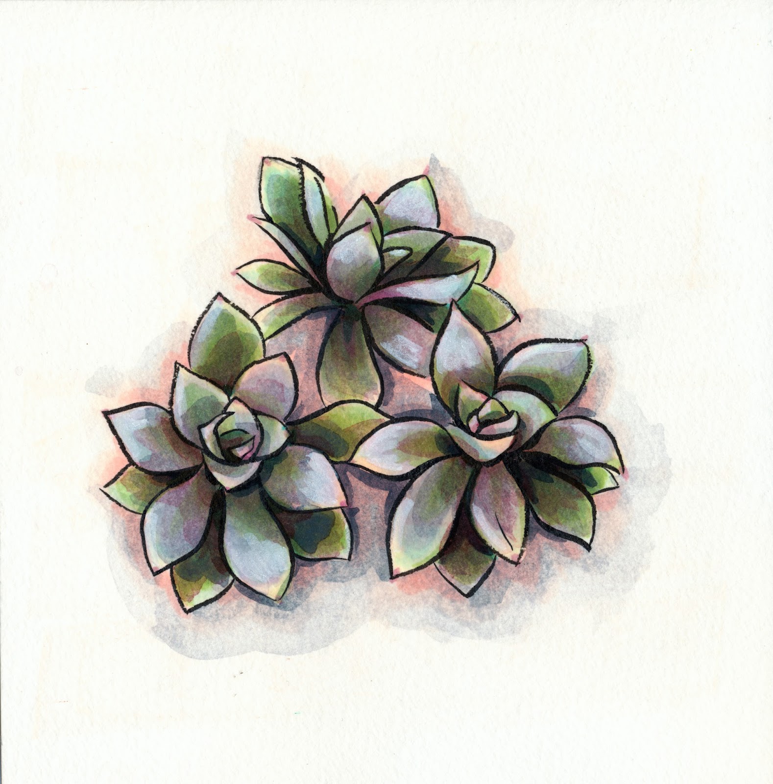 Using Marker with Watercolor- Succulent Studies