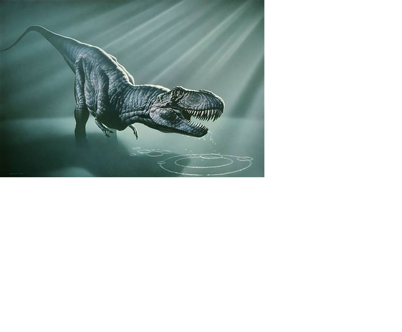 PENSAMIENTO Y CREATIVIDAD