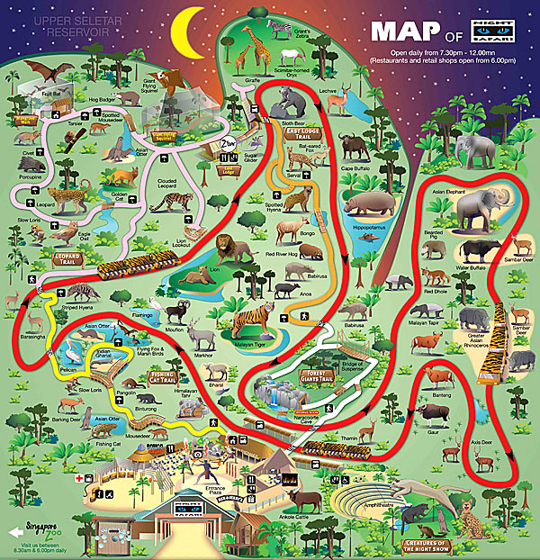 Toyota Vellfire Royal Limo Service: Singapore Night Safari ( One/Two ...