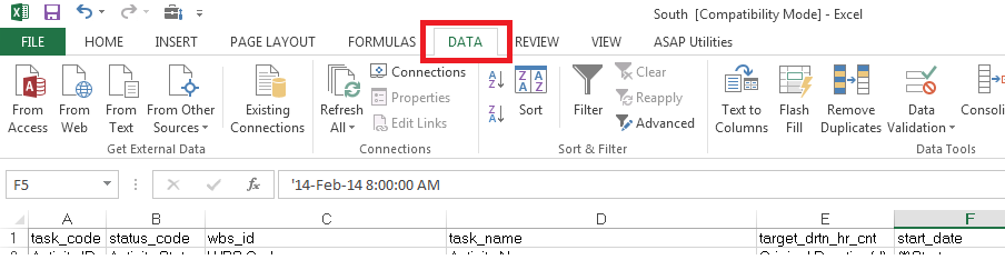Export Primavera P6 Data into Excel and Format