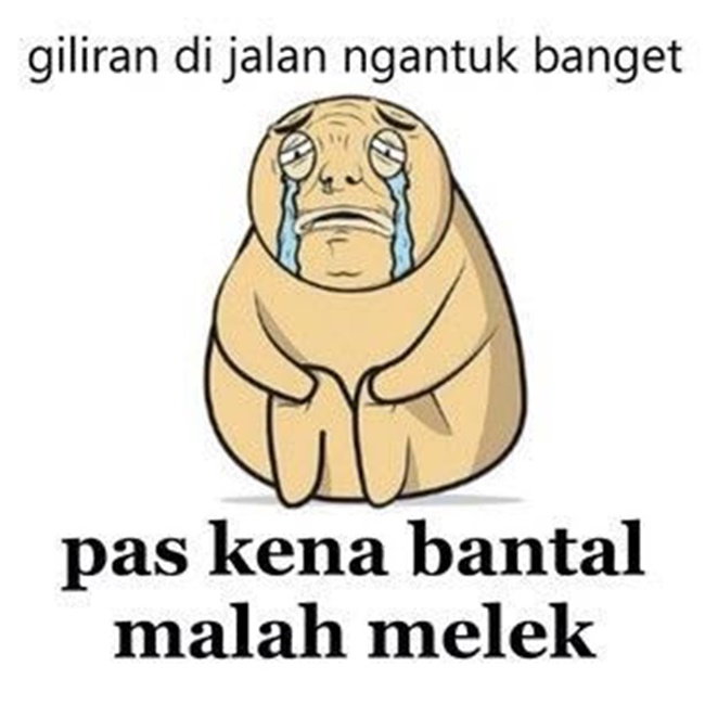 10 Gambar Meme Ngantuk Terlucu Terbaru Paling Greget - Kumpulan Ragam ...