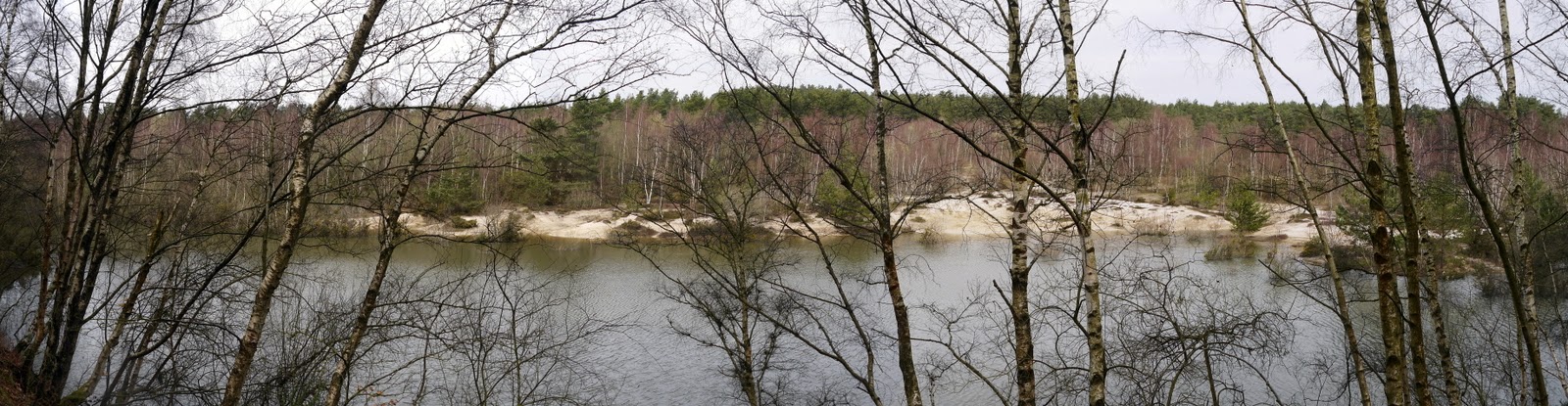 Worthing Wanderer: Serpent Trail Section 6 Midhurst to Petersfield