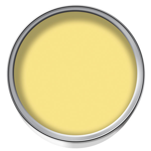 Factory Paint & Decorating: Lemon Sorbet - Benjamin Moore Color of the ...
