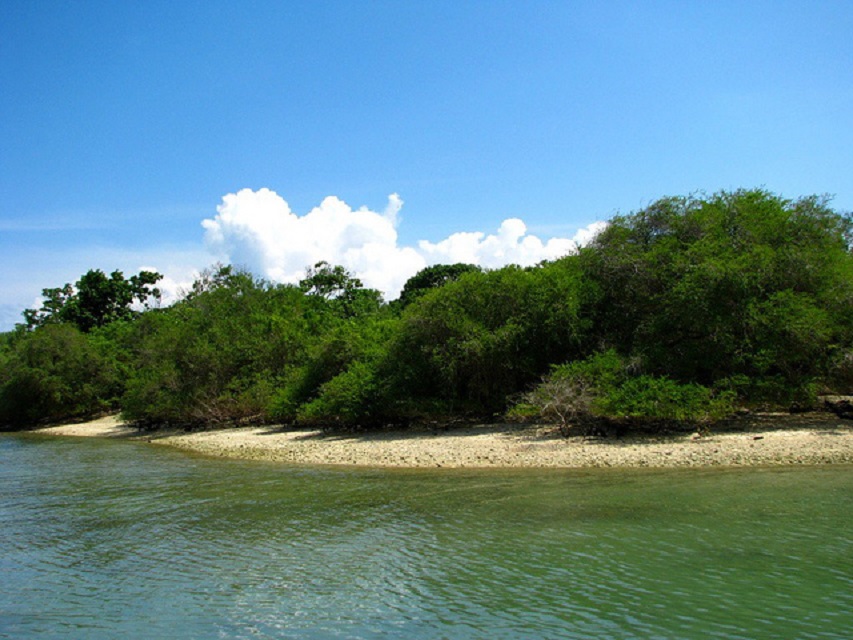 Pulau Handeuleum TNUK (https://www.triptrus.com)