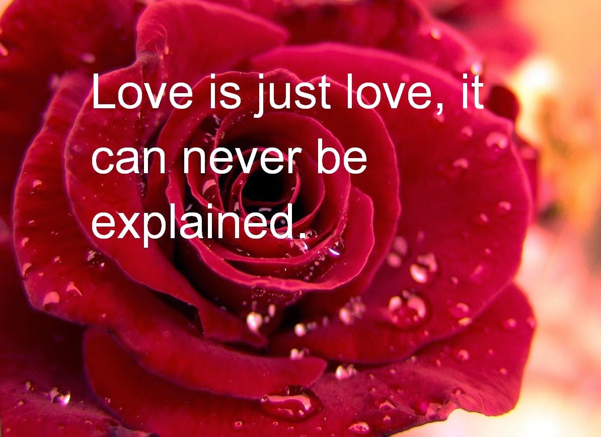 Valentine's Day Quotes and Images: Unlimited velentine's Day Images ...