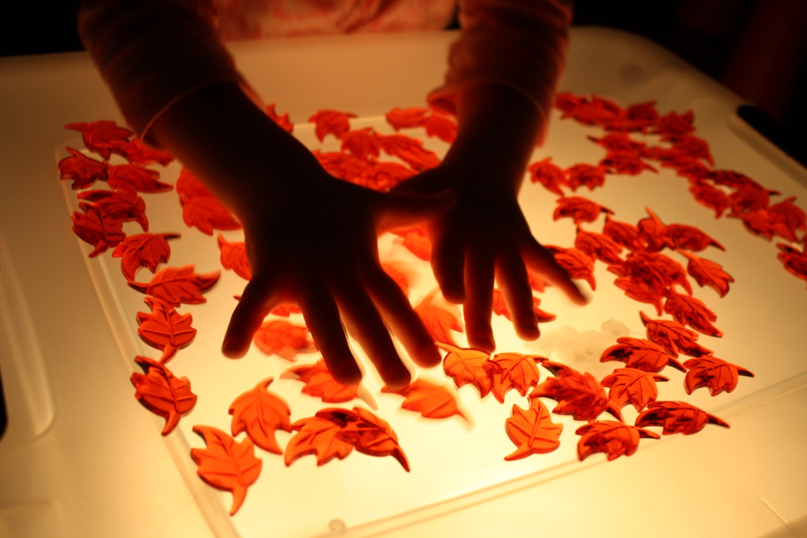 We love our light box. We love Autumn leaves.