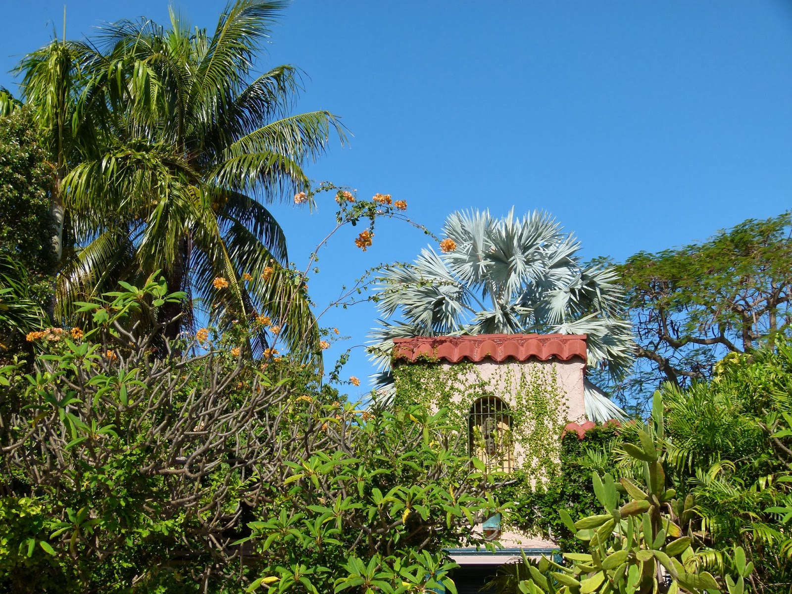 Visit Key West: Today in Key West - live blog - rain blog