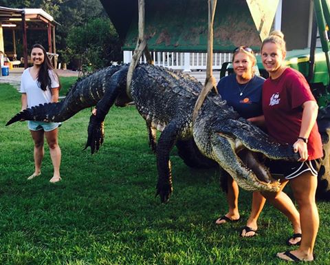 Marian's Hunting Stories, etc., etc., etc...: Tiffany, The Gator Lady