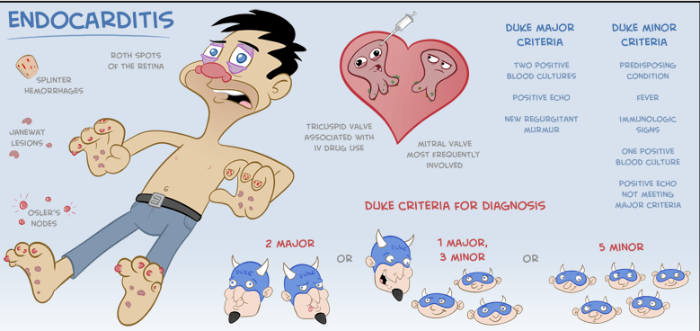 Tanda Gejala dan Pengobatan Penyakit Endokarditis | Asuhan Perawat