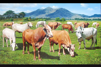 Lukisan Realis Sapi Merumput 2 | RUSLAN ART