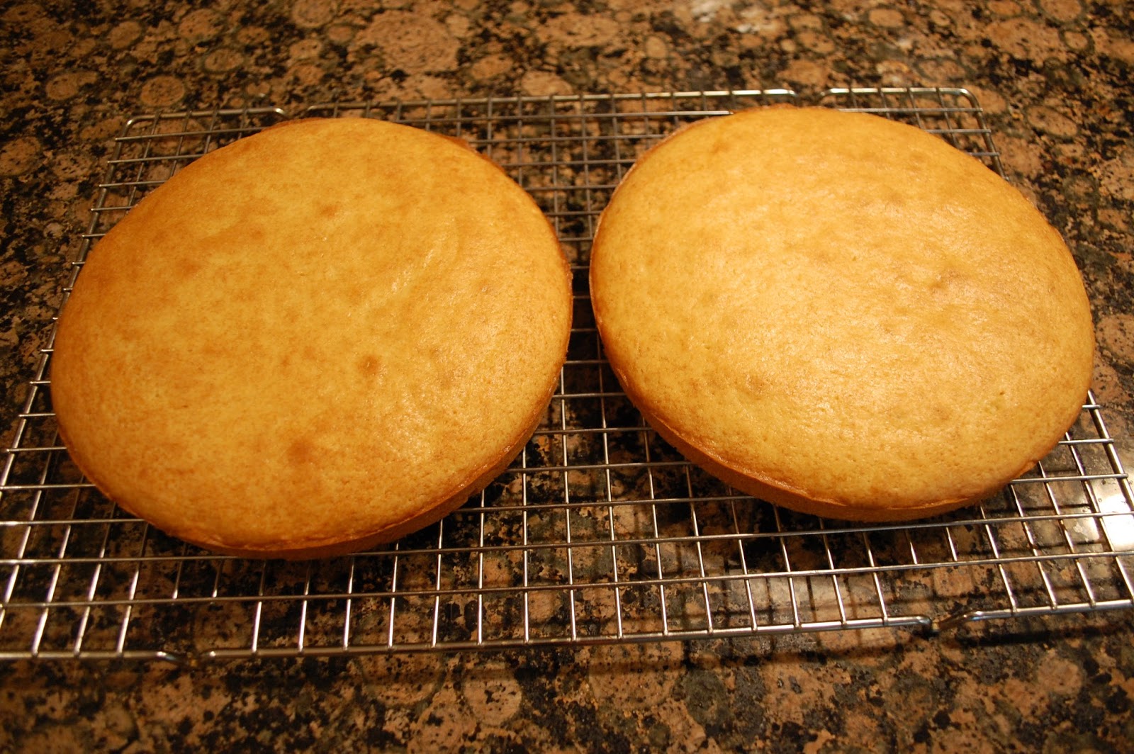 A Peek into the Pantry: Addy's Washington Pie