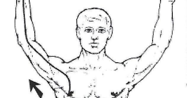 Personal Blog : Circulation / Sex Meridian