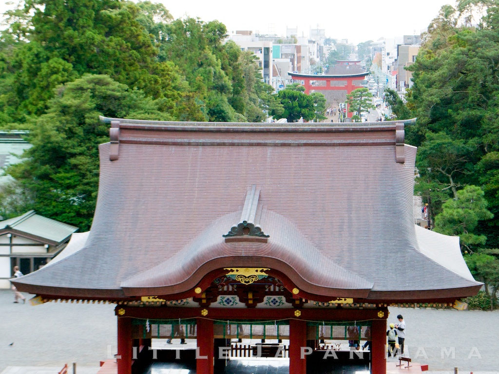 little japan mama : Tsurugaoka Hachimangu, in Kamakura