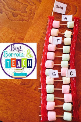 Beg, Borrow, and Teach!: Using Candy to Teach DNA