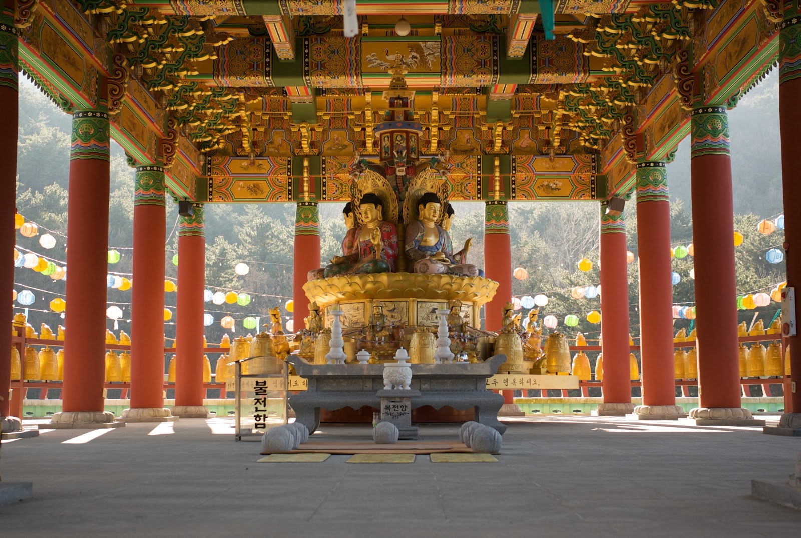 Nagoya, Nagoya desu: Sacheon, South Korea