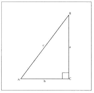 Shanas' E-Primbon: Vocabs : Shapes