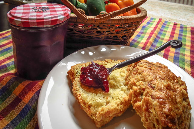 OnTheMove-In the Galley: Spicy Italian Plum Jam