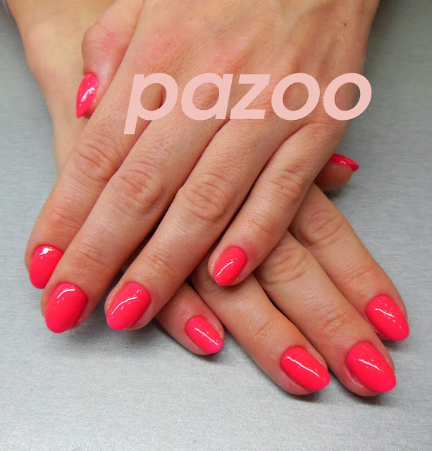 PAZOO BLOG: maja 2015