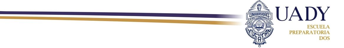 Uady Transparente Logo