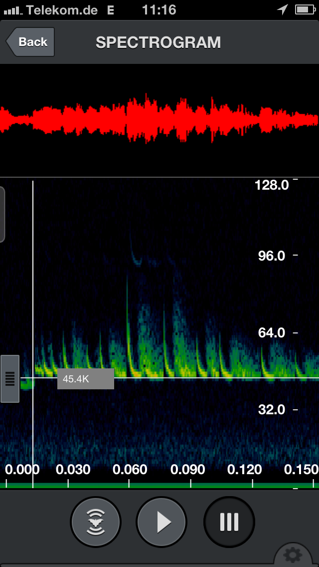 Birds & Bats: Which bat species do these spectrograms belong to?