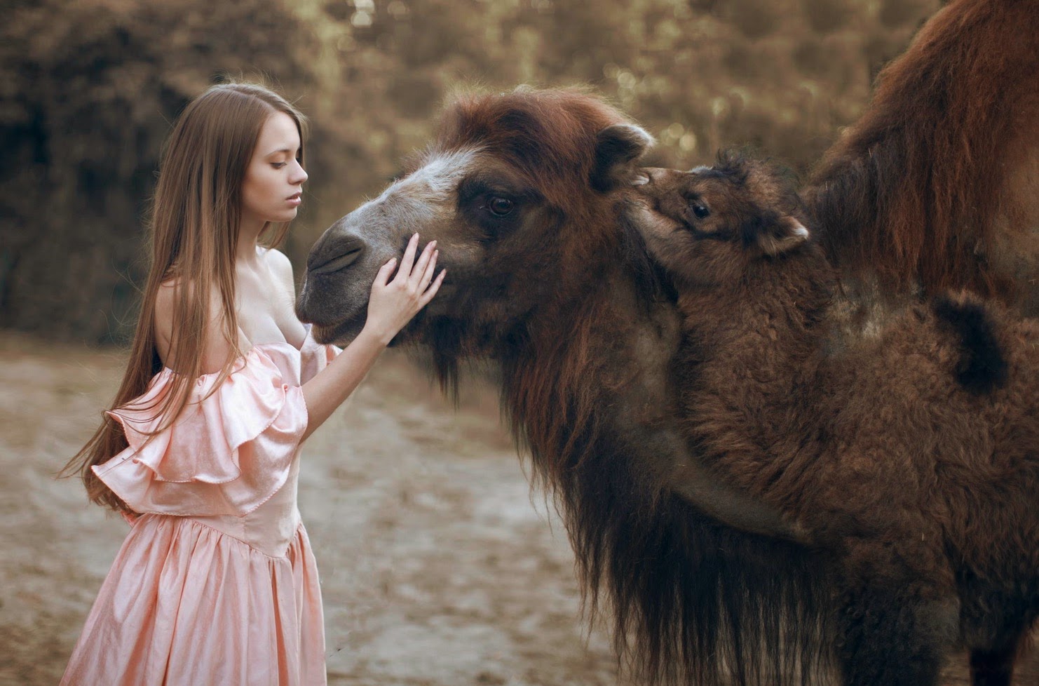 Breathtaking Photographs Of People With Wild Animals Will Leave You ...