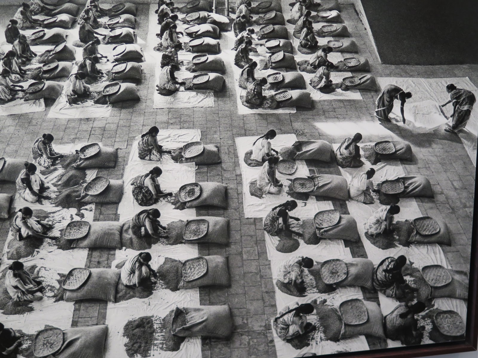 LES MERVEILLES DE DANIELLE: Les photos de Salgado et le musée de l'homme...