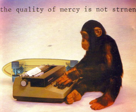 The Velvet Blog: Seven pictures that will restore your faith in chimps ...