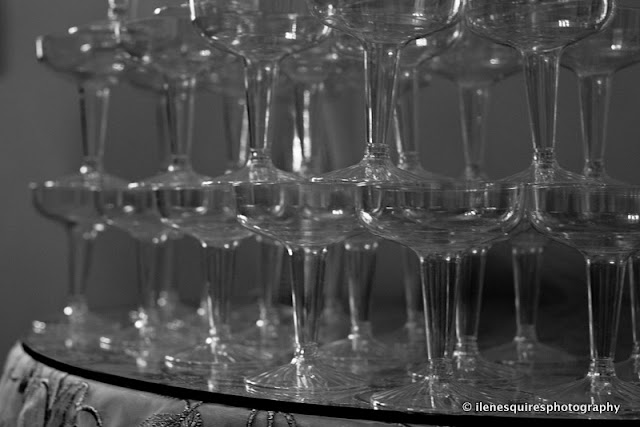 Ilene Squires Photography: Staten Island Technical High School Prom ...