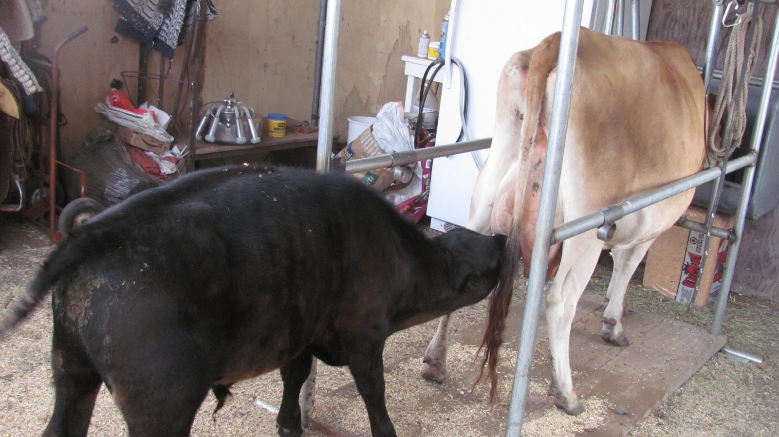 Range to Range: September 2011