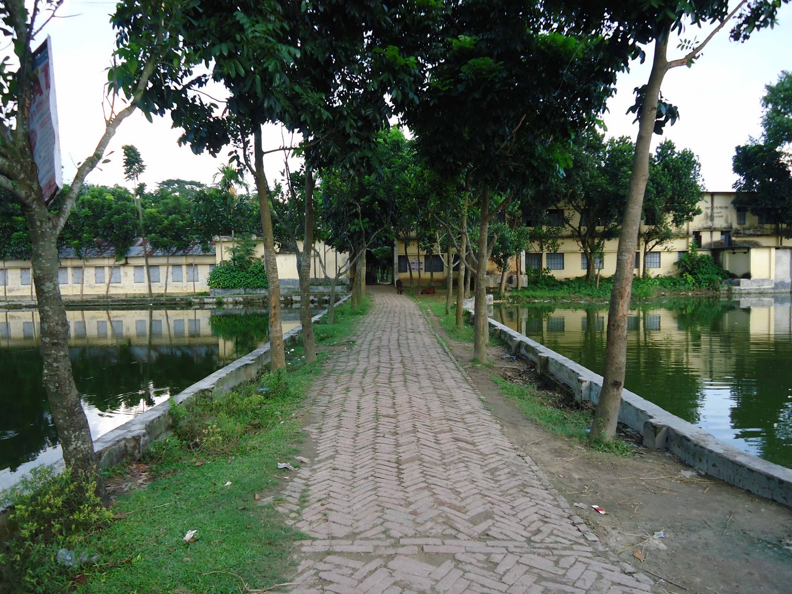 Akkelpur(আক্কেলপুর)