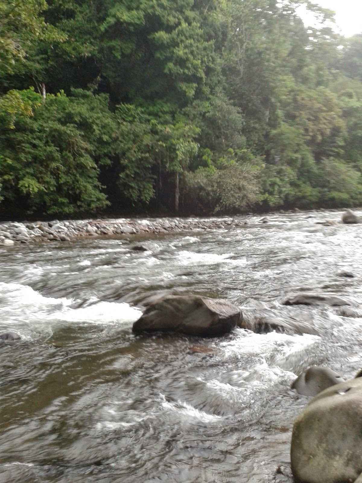 Riquezas Naturales de Chiriquí, Panamá: Pasión de Laberintos