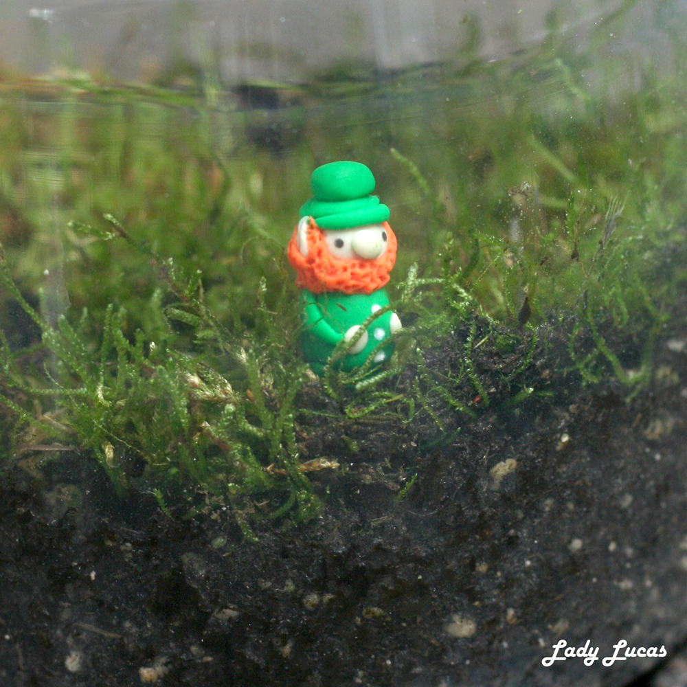 Linzer Lane: I Believe in Leprechauns