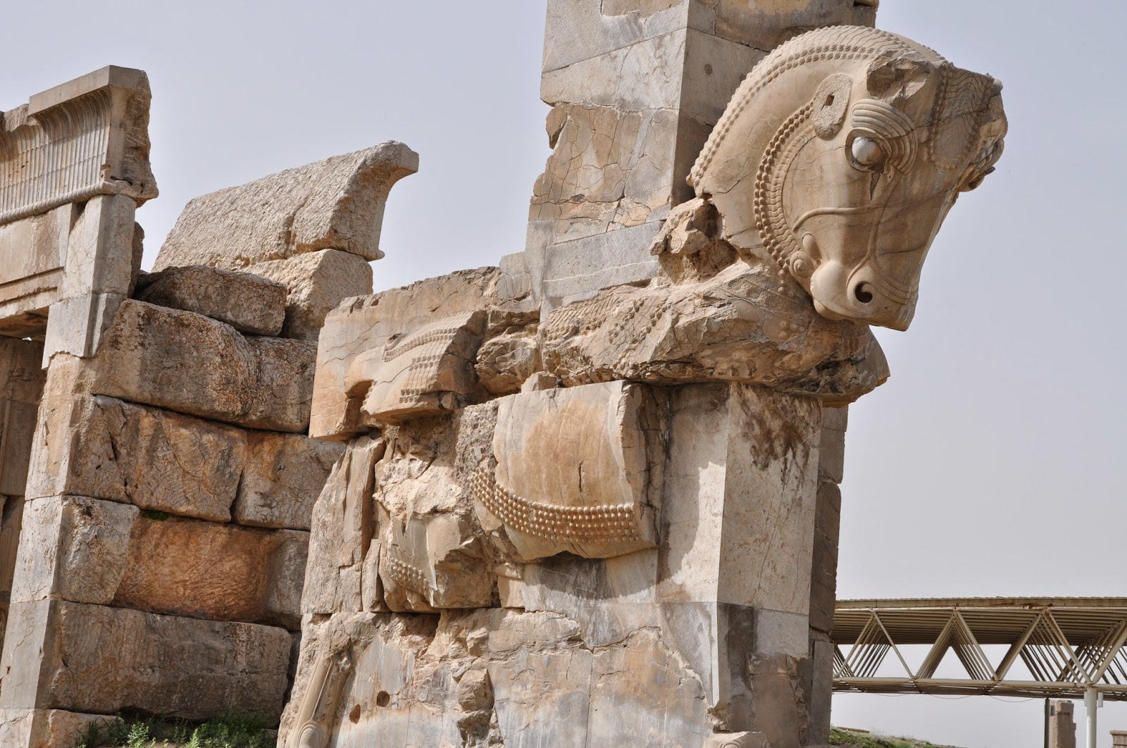 1001 SORRISO Amare per vivere: Viaggio in Iran, l'Impero Persiano Antico