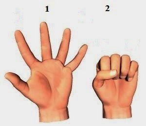 WELLNESS TIP IND: 5 Exercises and Stretches for Hand, Wrist, Fingers