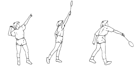 Skill Development and Biomechanics