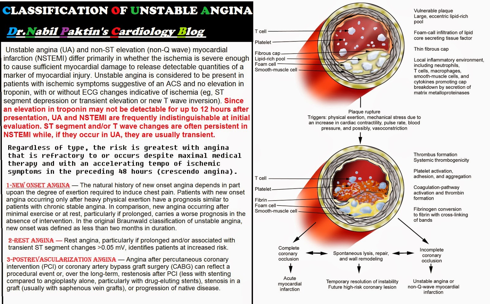 Dr.Nabil Paktin's Cardiology Blog مجله کاردیولوژی دکتور نبــیل پاکطـین ...
