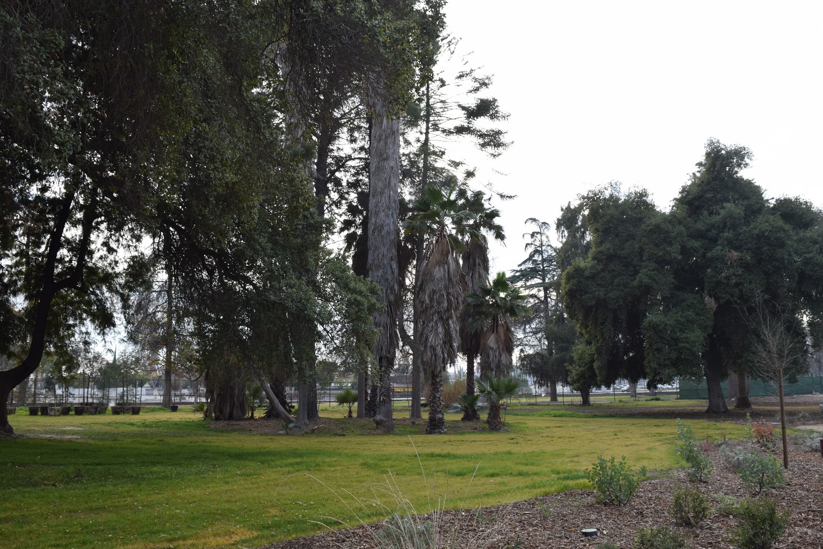 Thoughts on Chaffee Zoo Expansion and Roeding Park (with pictures ...