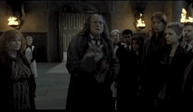 Harry Potter World: ARGUS FILCH