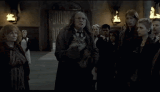 Harry Potter World: ARGUS FILCH