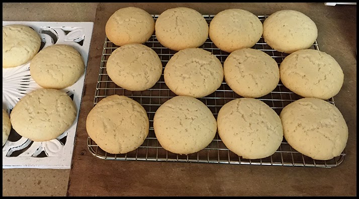 alaska blue moose: 1963 Treat - Ammonia Cookies