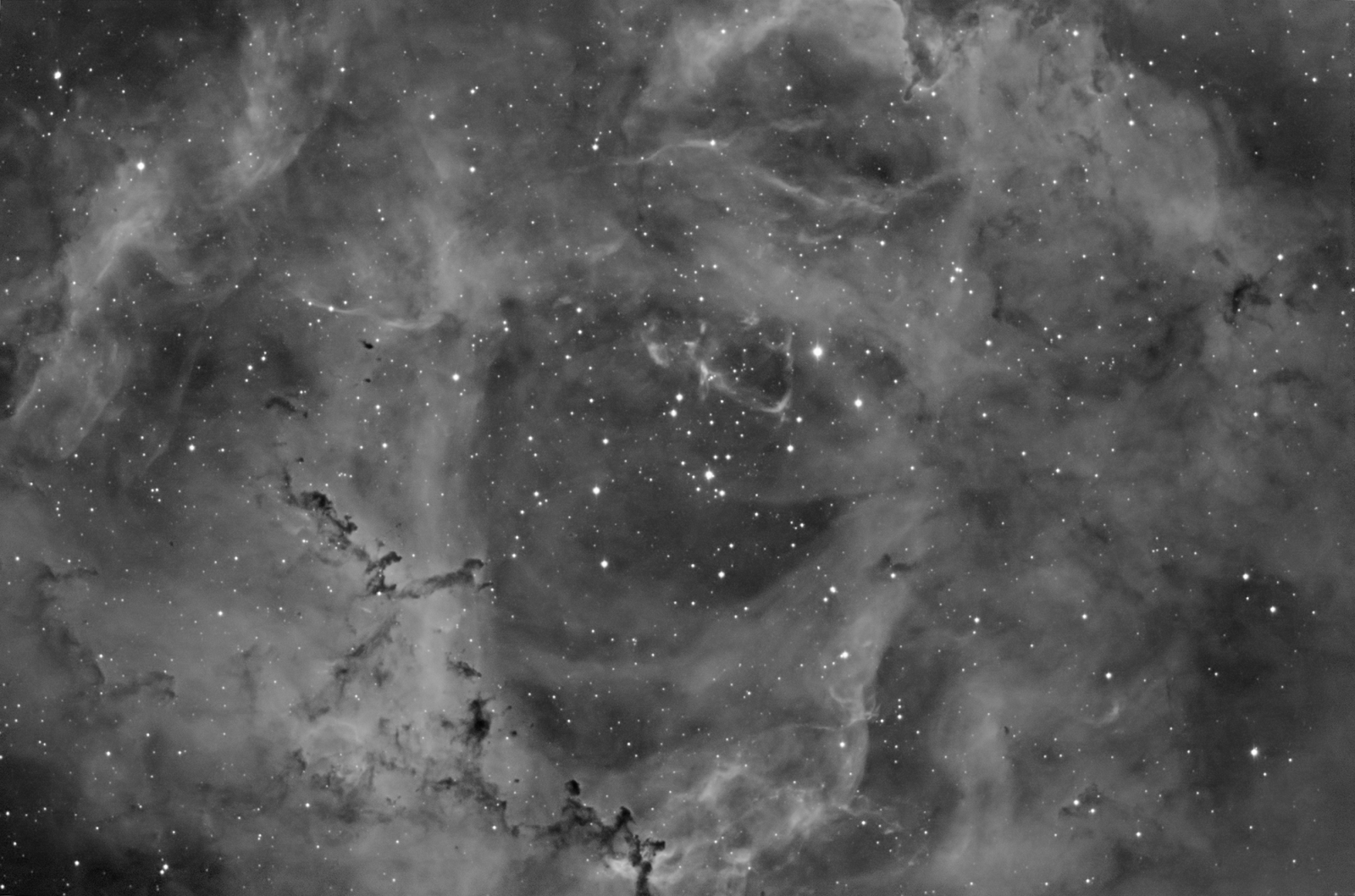 Cosmic Photons Astrophotography : NGC 2244