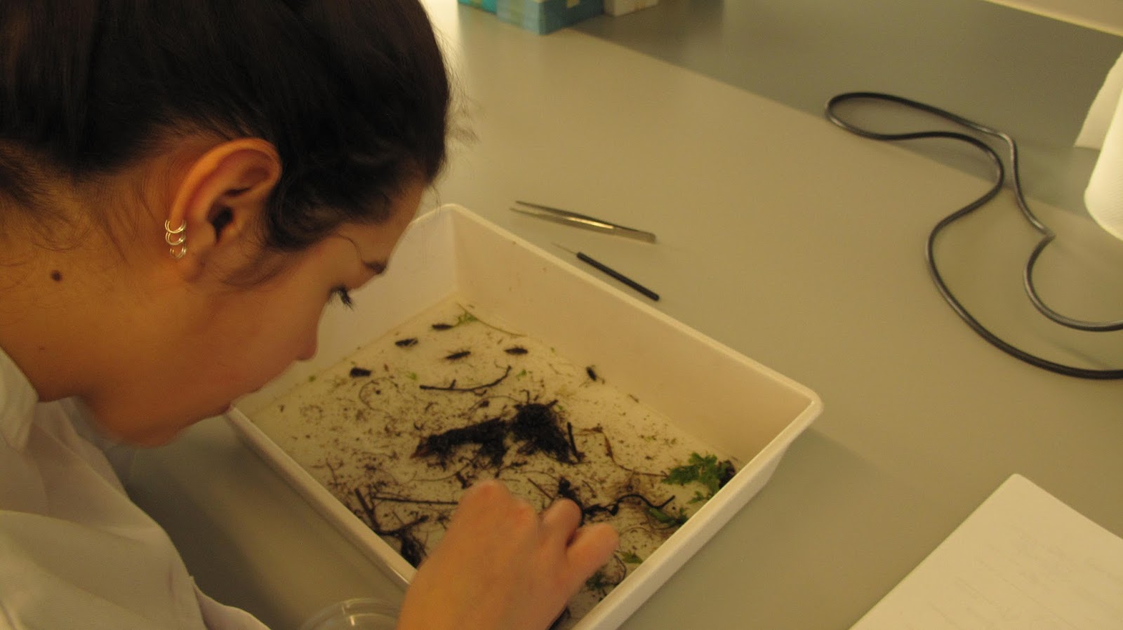 Passing on knowledge