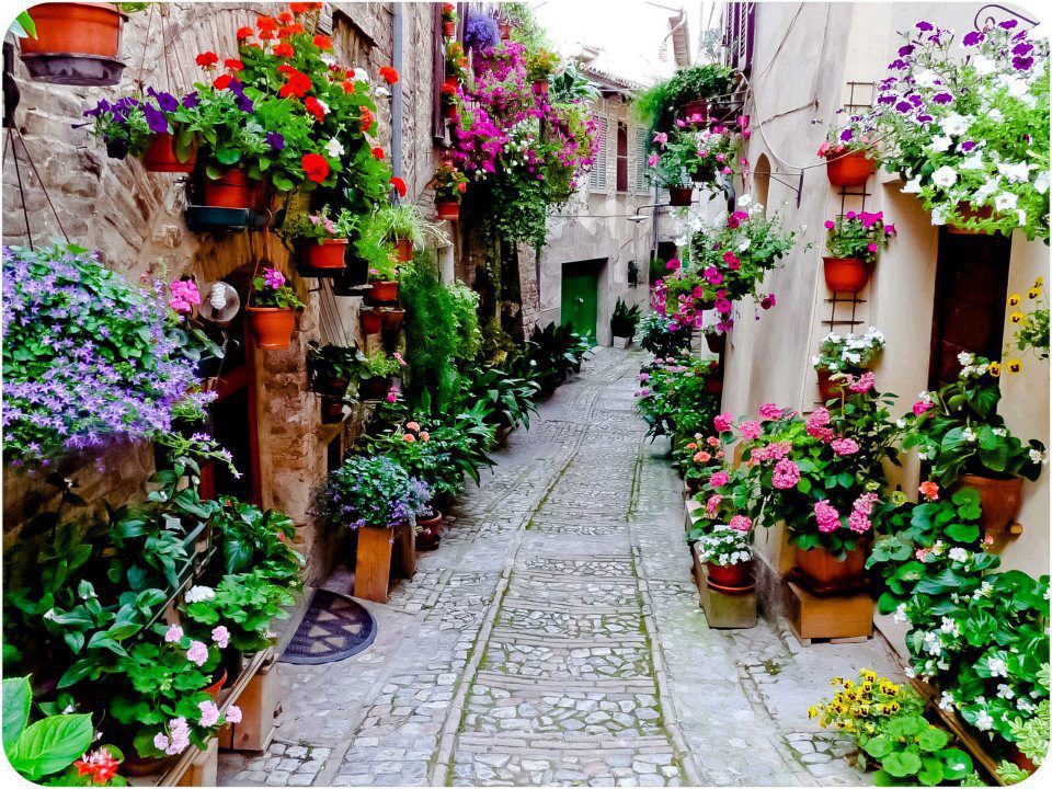 Pasu Bunga Menarik Dengan Sentuhan Kreatif - Relaks Minda