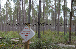 Lowcountry outdoors: 10-point buck on SCDNR draw hunt