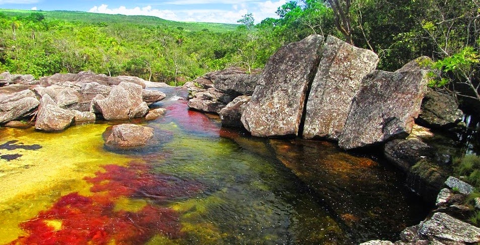Liquid Rainbow ~ Nature Conservancy