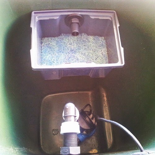 Sustainable Sisters Team: Grey Water Gator Installed