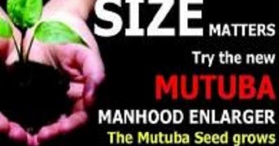 MUTUBA SEED AND OIL PENIS ENLARGEMENT +27781595267